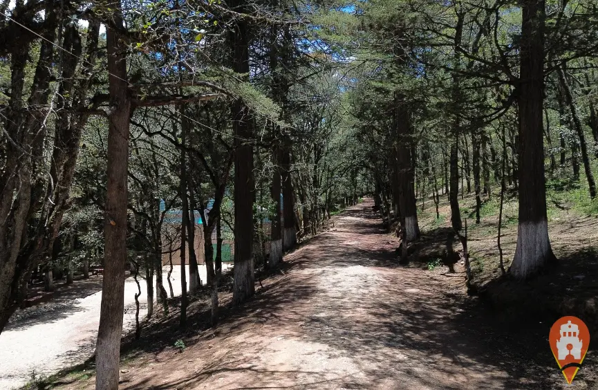 Real del Monte: Un Encantador Destino de Montaña